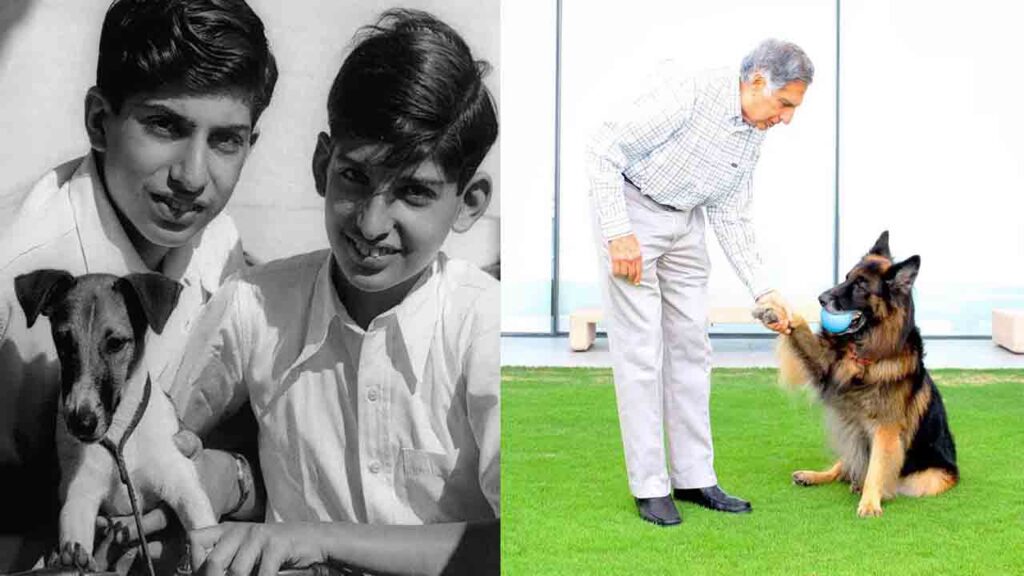Ratan Tata's Will: Unconditional Love and Lasting Care for Beloved Dog ...